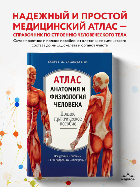 Атлас. Анатомия и физиология человека: полное практическое пособие. 2-е ...