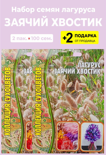 Лагурус For Home And Family Лагурус Заячий Хвостик1 - купить по ...