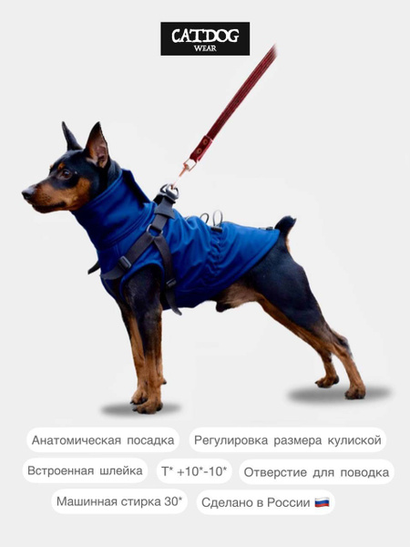Жилетка / жилет для собаки мелких пород / цвергпинчер - купить с ...