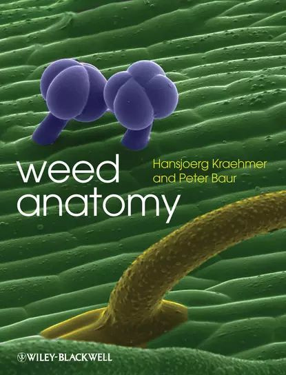 Weed Anatomy | Kraehmer Hansjoerg, Baur Peter | Электронная книга ...