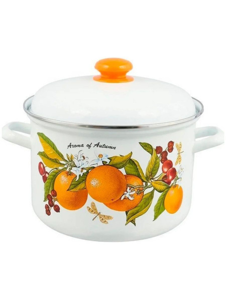 Кастрюля Лысьвенские эмали, Эмалированная сталь, 4,5 л - купить по ...