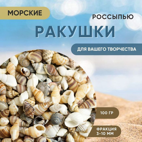Ракушки морские натуральные - купить с доставкой по выгодным ценам в ...