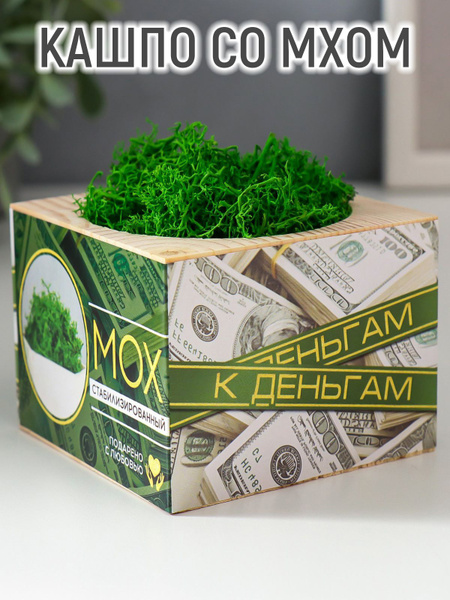 Набор для выращивания FEYT купить по выгодной цене в интернет-магазине ...