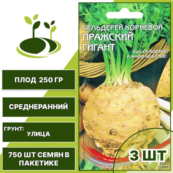 Сельдерей Дом Семян Пражский Гигант_3 - купить по выгодным ценам в ...