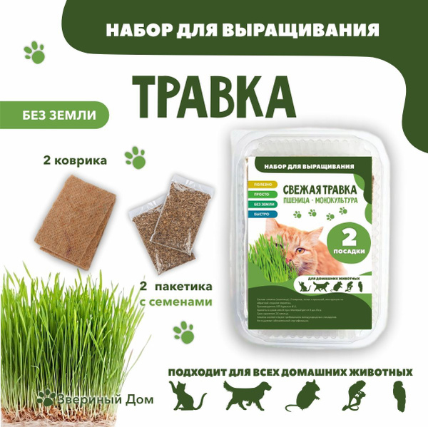 Трава для кошек. Травка в лотке без земли и грязного дома - купить с ...
