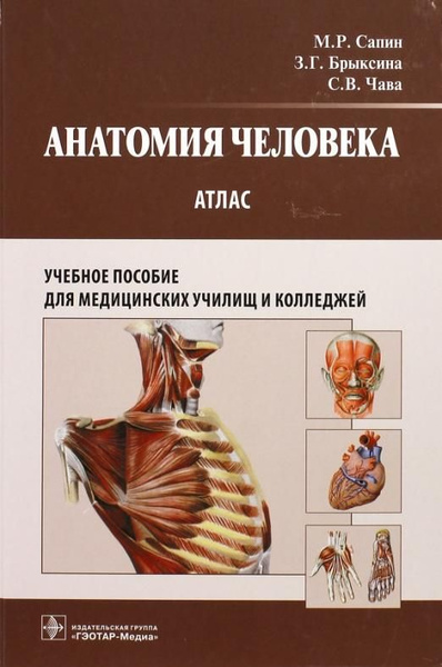 Анатомия человека. Атлас для медицинских училищ и колледжей | Сапин ...