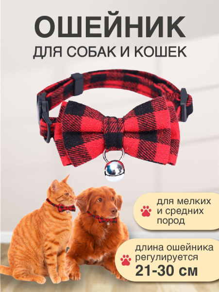 Ошейник для кошек и собак мелких пород, для кота котенка щенка ...