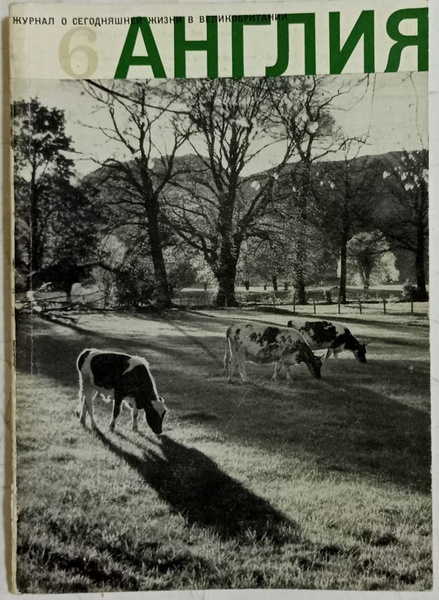Журнал Англия 6 1963 №2 - купить с доставкой по выгодным ценам в интернет-магазине OZON (1312365923)