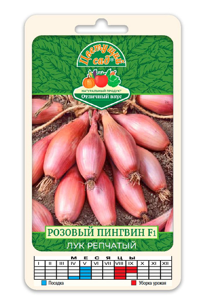 Лук Цветущий сад ЦСПС Лук РЕПКА - купить по выгодным ценам в интернет ...