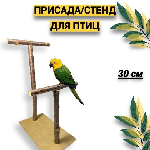 Стенд для птиц / Присада - купить с доставкой по выгодным ценам в ...