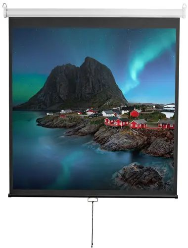 112" Экран для проектора Digis Optimal-D DSOD-1105 - купить с доставкой ...