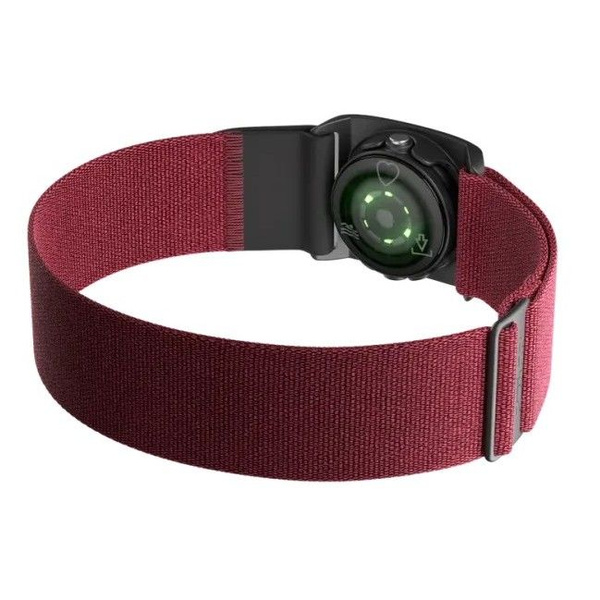 Polar Verity Sense красный - купить с доставкой по выгодным ценам в ...