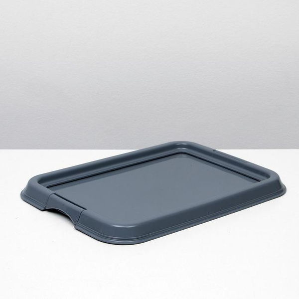 Туалет - лоток приучающий плоский малый для маленьких, средних собак и ...