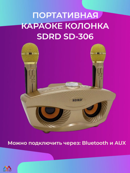 SDRD SD-306 - bluetooth колонка-караоке с беспроводными микрофонами (Золотой) - купить с ...