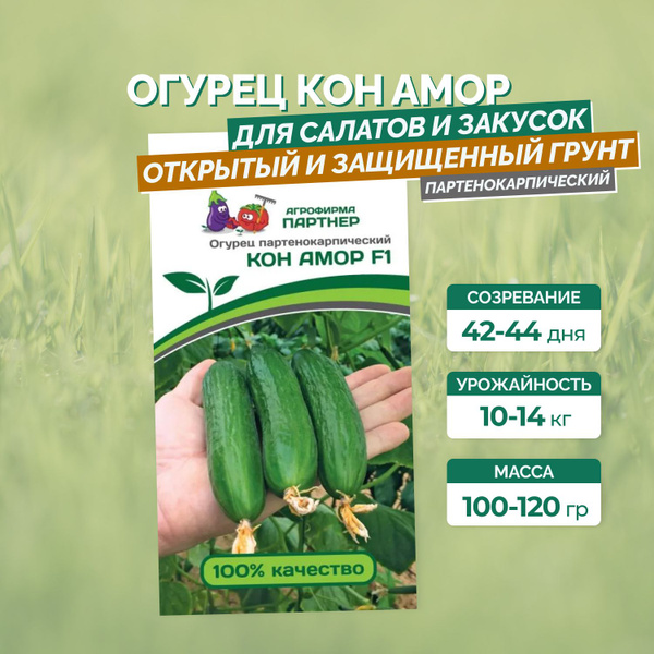 Огурцы Агрофирма Партнер ogpartneryasadovod - купить по выгодным ценам ...