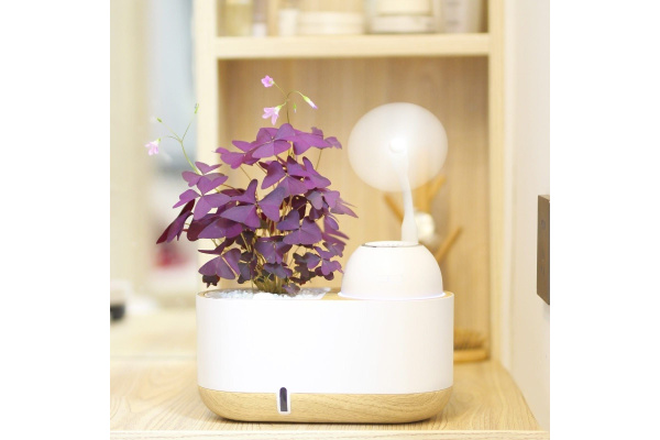 Интеллектуальный цветочный горшок с увлажнителем воздуха и автополивом ...