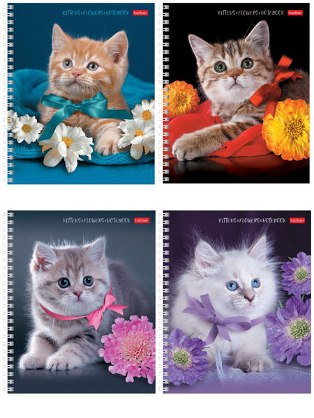 Набор тетрадей Hatber 80 листов, формата А5, в клетку, на гребне, 65 г/кв. м, 4 штуки/4 дизайна ...