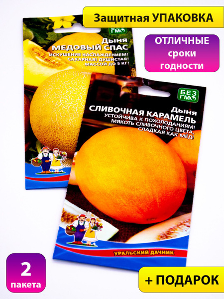 Дыни Уральский дачник Отборные дыни - купить по выгодным ценам в ...