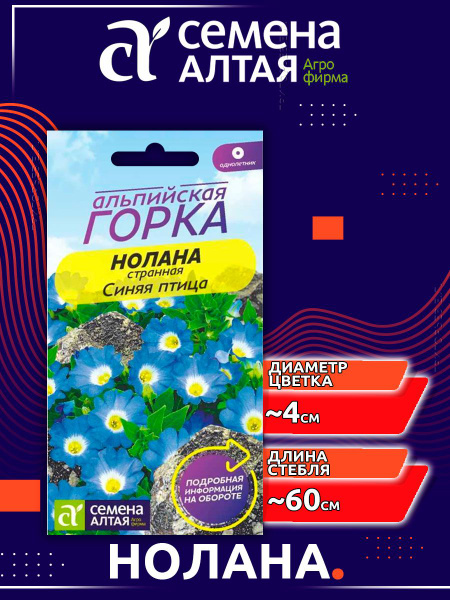 Разнообразные комнатные Семена Алтая Нолана странная Синяя птица ...