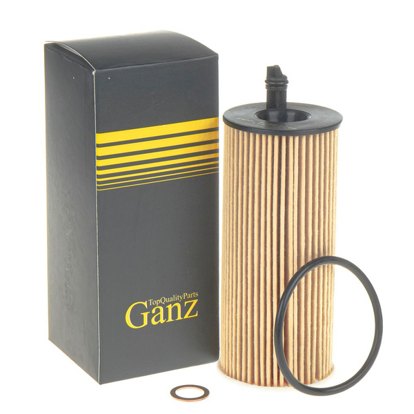 Фильтр масляный BMW 1 (F20/F21), 2 (F22), 3 (E90/E91/E92/E93), 3 ( GANZ ...