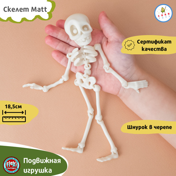 Подвижная игрушка скелет - купить с доставкой по выгодным ценам в ...