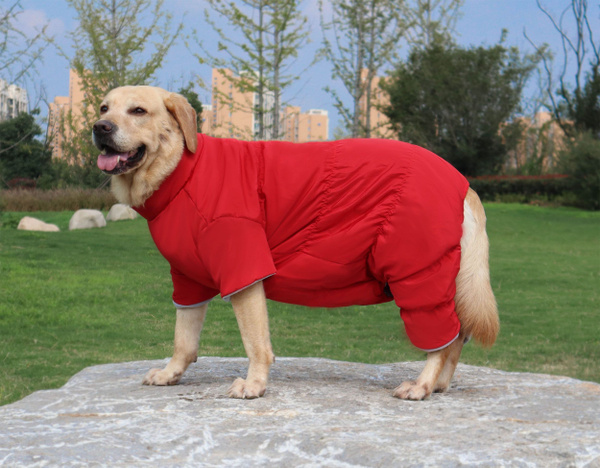 Комбинезон Rexy crew "Rexy" для собак средних и крупных пород, цвет красный, размер 3XL купить ...