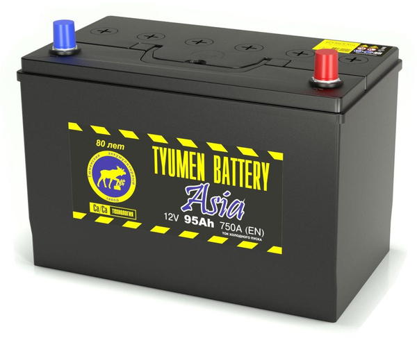 Аккумулятор автомобильный Тюменский аккумуляторный завод TYUMEN BATTERY ...