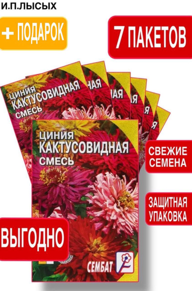 Сембат цветов Циния "Кактусовидная смесь"_7 - купить по выгодным ценам ...