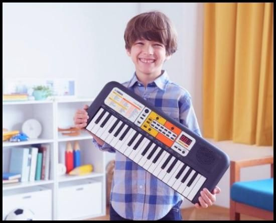 Yamaha Синтезатор PSS-F30-dl-dl3 - купить с доставкой по выгодным ценам ...