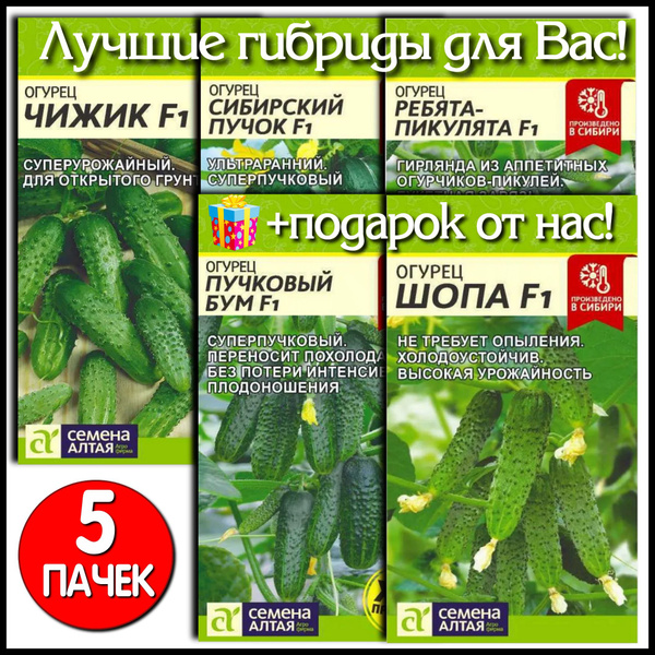 Огурцы Семена Алтая огурец - купить по выгодным ценам в интернет ...