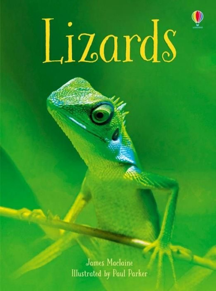 Lizards | Maclaine James - купить с доставкой по выгодным ценам в интернет-магазине OZON ...