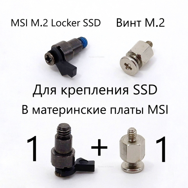 Крепеж MSI M.2 Locker EZ Clip kit SSD E27-7D25010-H75 Mounting Screw ...