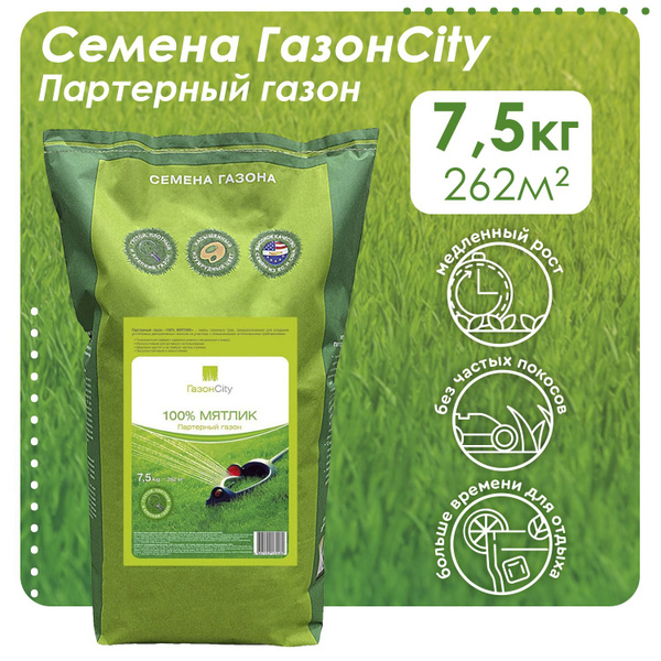 Газонные травы ГазонCity 100% Мятлик_белый_зеленый_1_Мятлик луговой ...