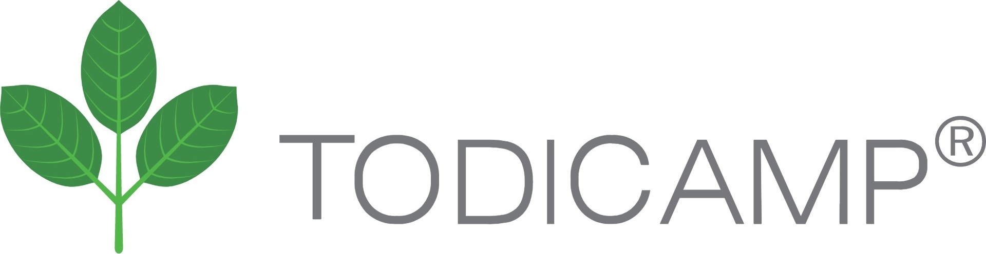 TODICAMP — купить товары TODICAMP в интернет-магазине OZON