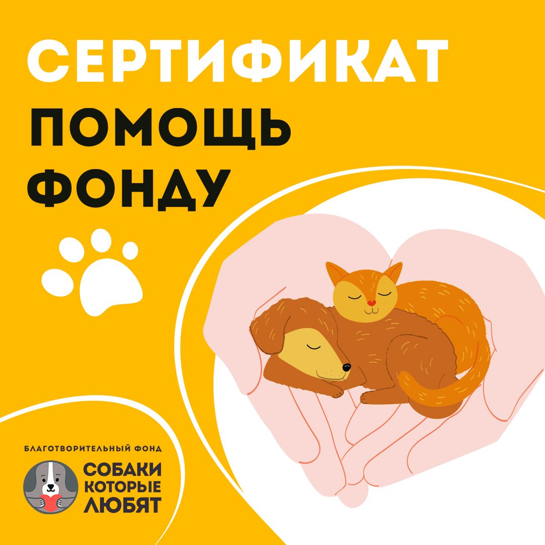 Электронные сертификаты – купить электронный сертификат на OZON по ...