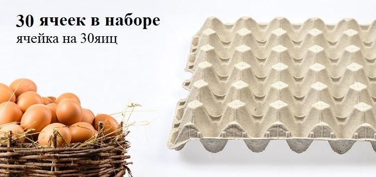 Ячейки Для Яиц Картонные купить на OZON по низкой цене