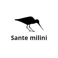 Sante milini — купить товары Sante milini в интернет-магазине OZON