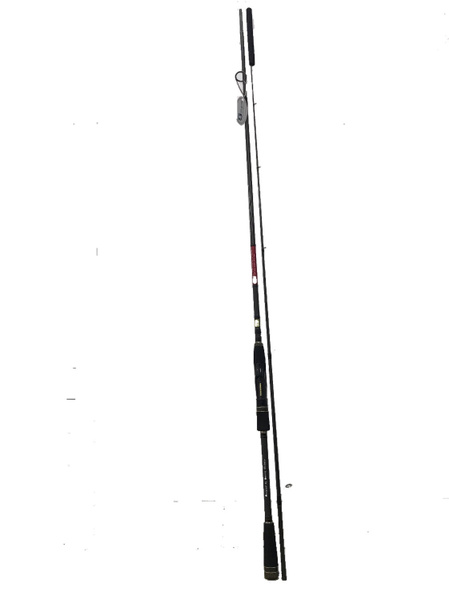Спиннинг Champion Rods TEAM DUBNA GENERATION II 240СМ 129ГР 7-28г TD ...