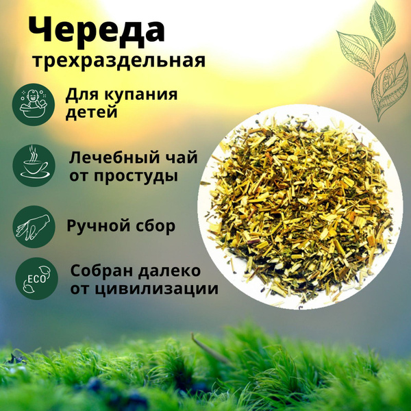 Череда трава, травяной сбор, чай, череда для купания, 100% натуральный ...