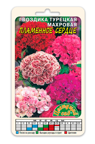 Гвоздики многолетние Цветущий сад гЦСБИО Гвоздика МИКС - купить по ...