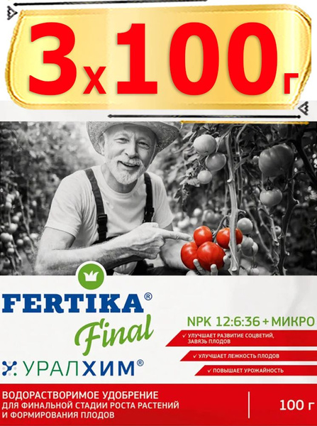 300гр Удобрение Фертика финал 100 г х3шт Fertika final купить на OZON по низкой цене (743120390)