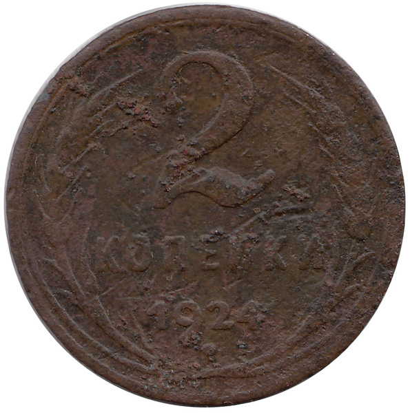 Монета 2 копейки. 1924 год, СССР. купить на OZON по низкой цене (736125395)