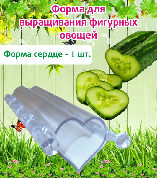 Форма для выращивания фигурных овощей - купить по выгодной цене в ...