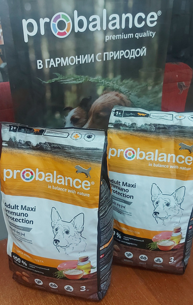 Сухой корм для собак Probalance Immuno Adult Maxi, защита иммунитета, 2 ...