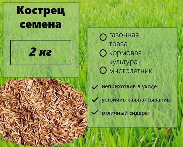 Различные травы Отечественный продукт семенакострец - купить по ...