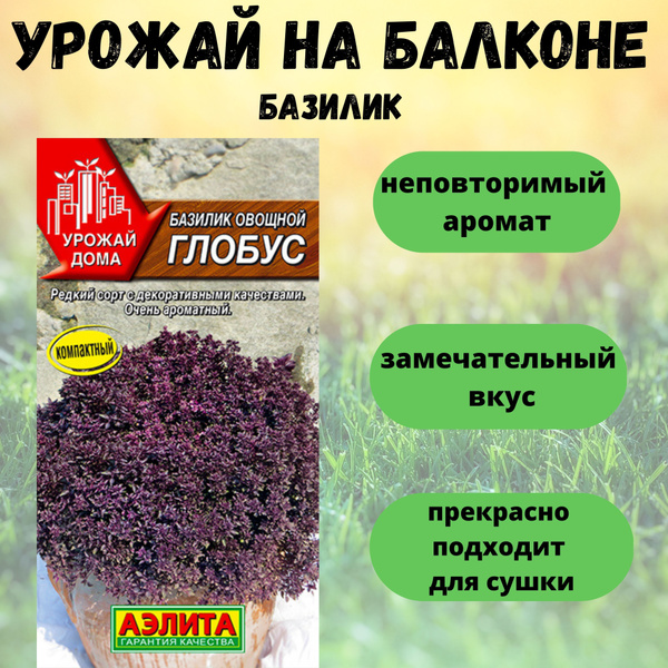 Базилик Аэлита Базилик_фиолетовый - купить по выгодным ценам в интернет ...