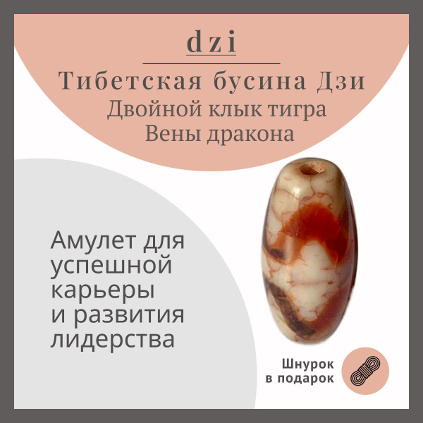 Akida Амулет для успешной карьеры и развития лидерства / Бусина Дзи ...