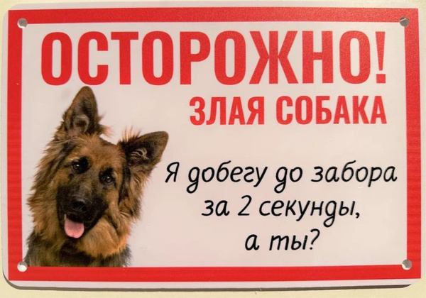 Табличка "Осторожно быстрая собака", 21 см, 15 см - купить в интернет ...