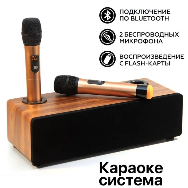 Караоке система для дома с двумя микрофонами - купить с доставкой по ...