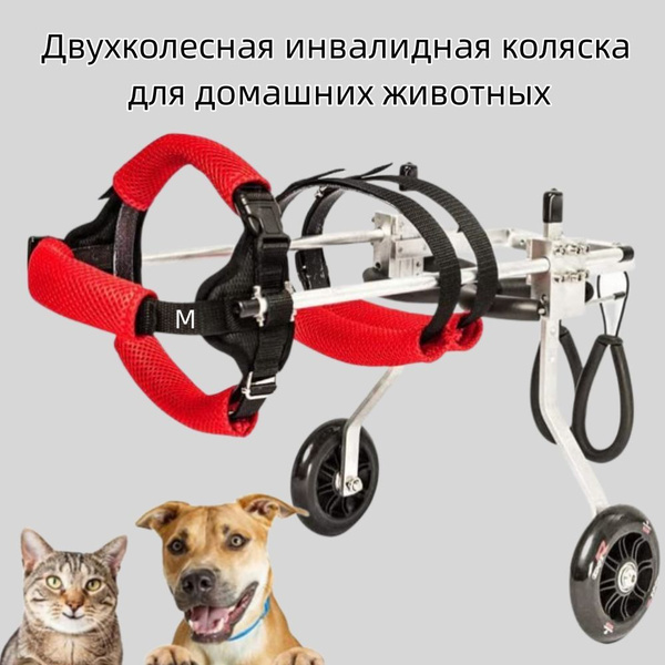 Ходунки для собак - купить с доставкой по выгодным ценам в интернет ...